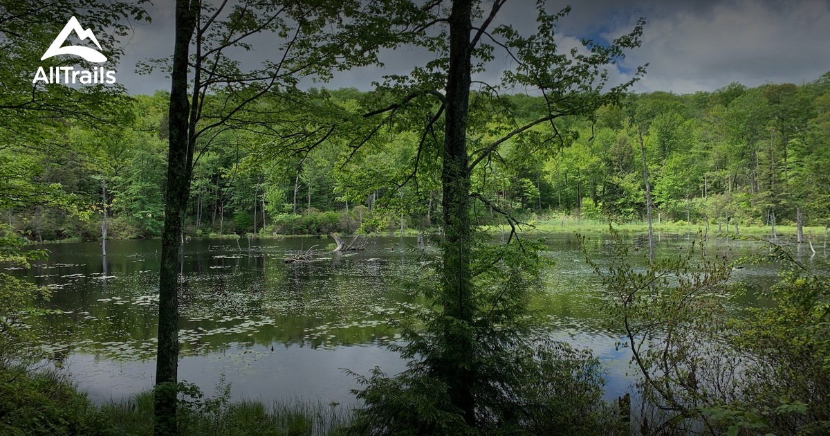 Best hikes and trails in Bob's Way Reserve | AllTrails