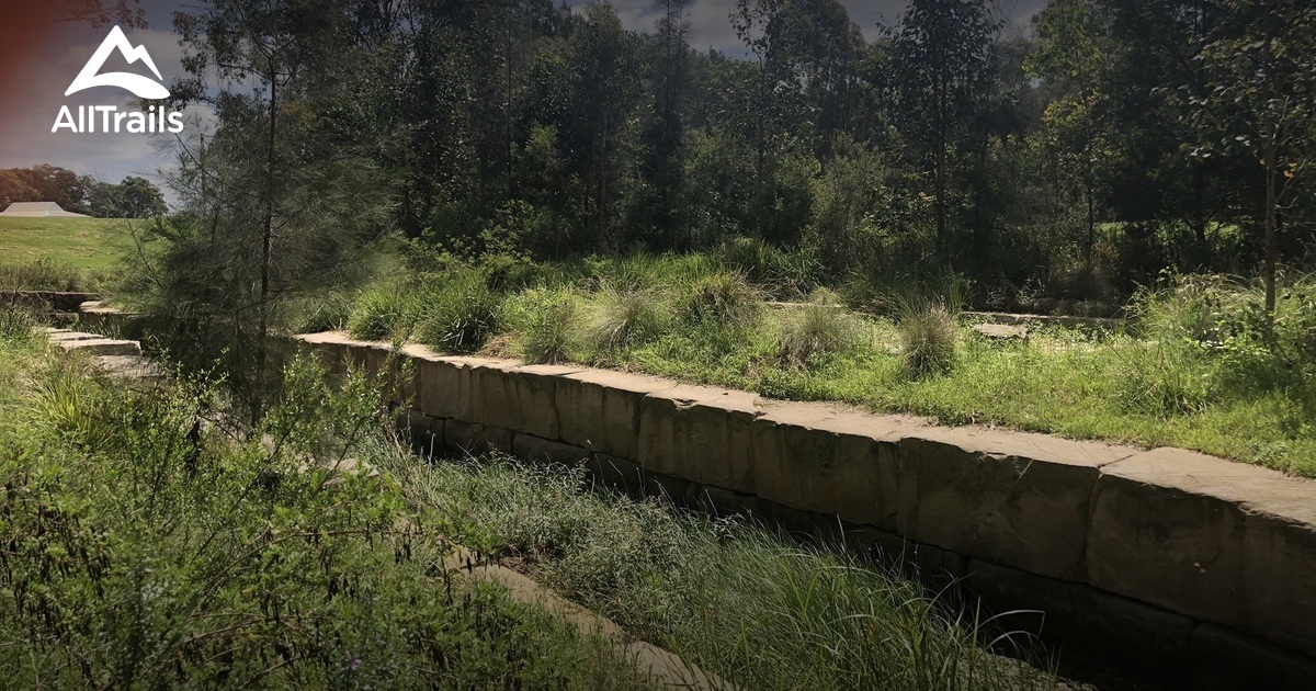 Best hikes and trails in Morgan Power Reserve | AllTrails