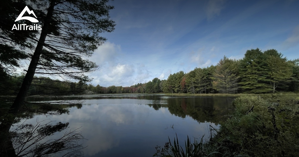 Best hikes and trails in The Tree Museum | AllTrails