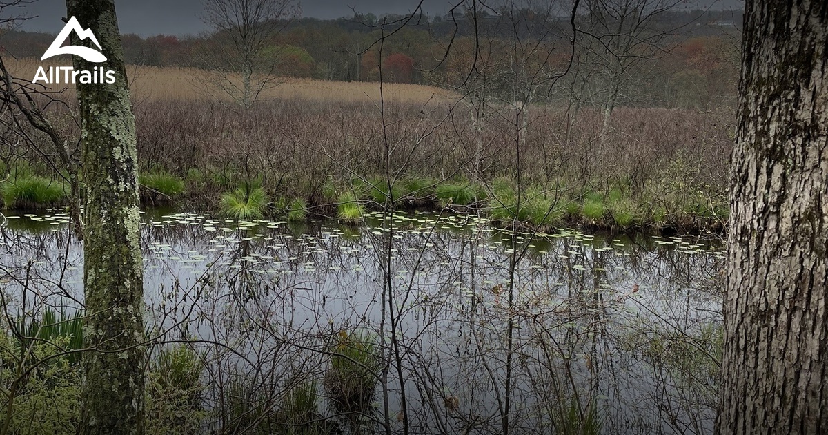 Best hikes and trails in Shade Swamp Sanctuary | AllTrails