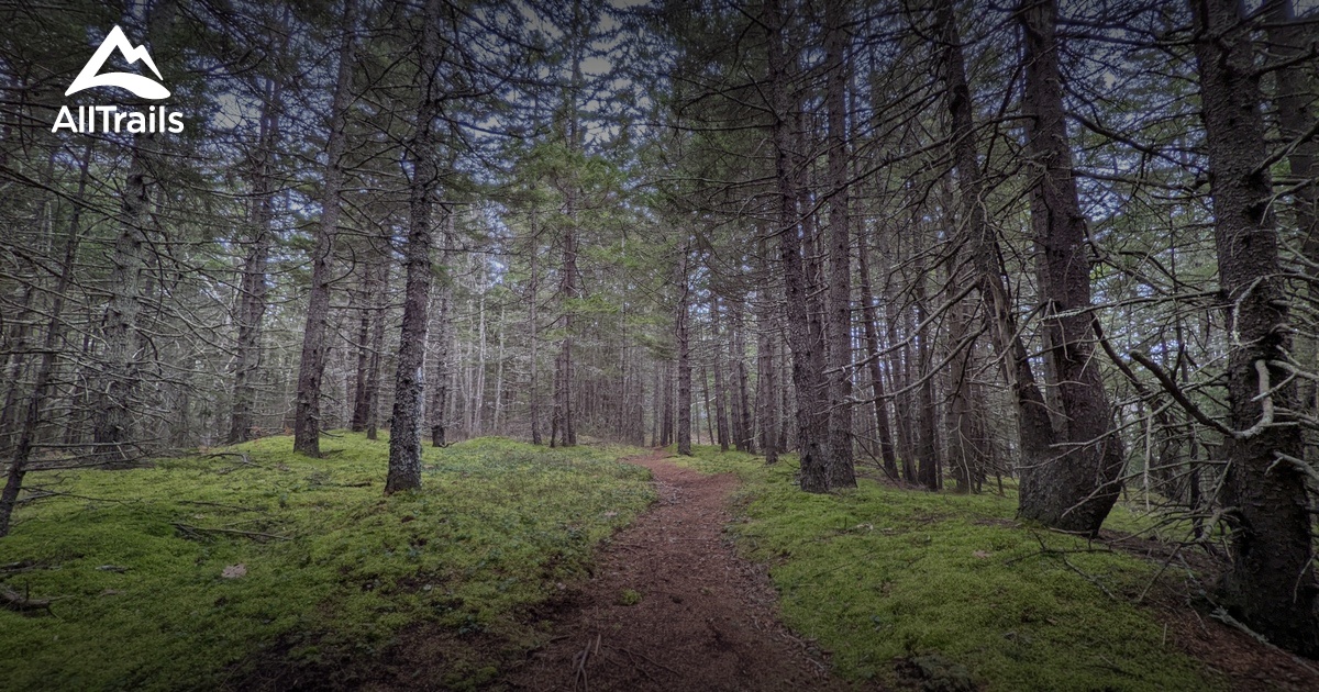 Best hikes and trails in Hackett Preserve | AllTrails