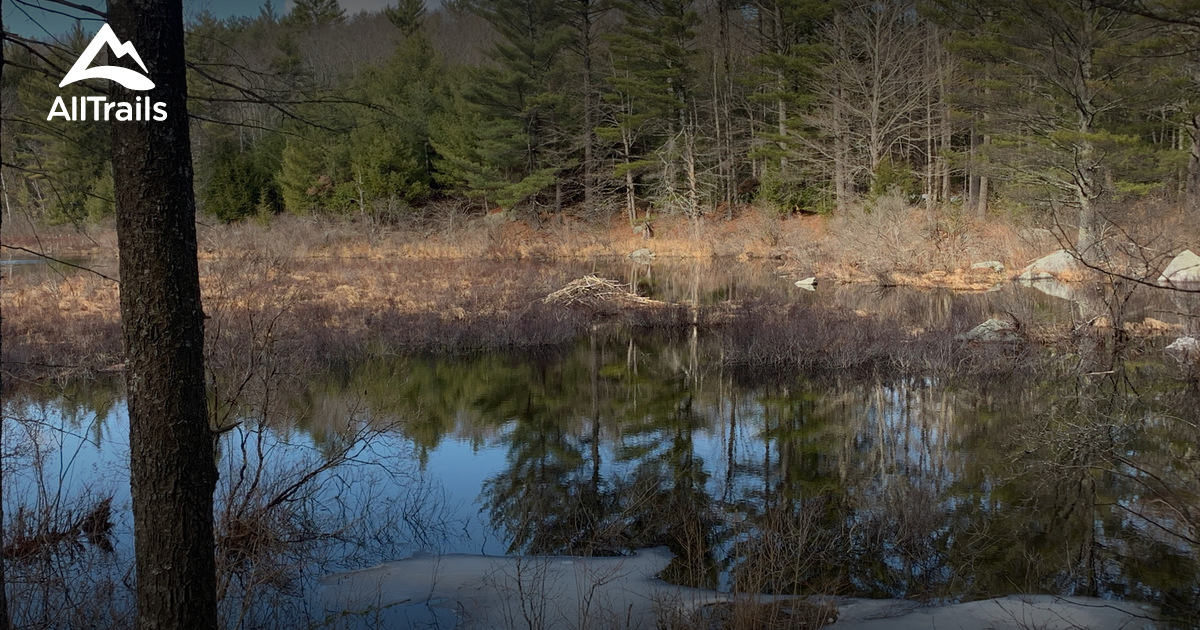 Best hikes and trails in Red Hill River Conservation Area | AllTrails