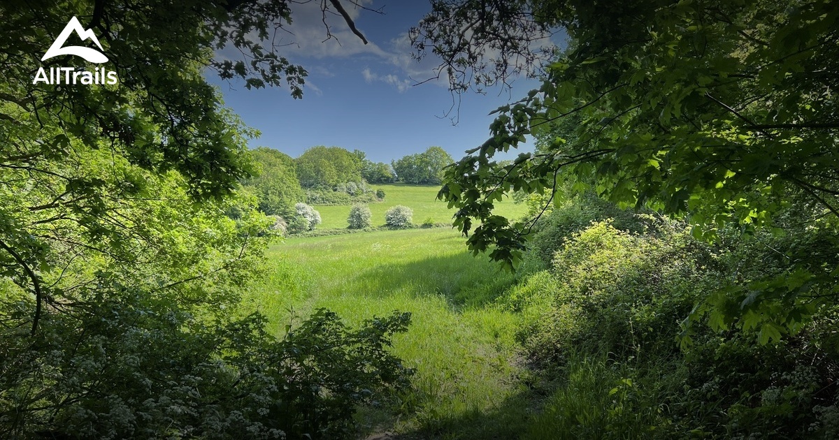 Best hikes and trails in Willow Park | AllTrails