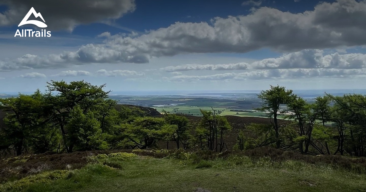 Best hikes and trails in Auchterhouse Hill SSSI | AllTrails