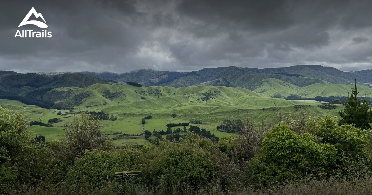 Best hikes and trails in Pūkaha National Wildlife Centre | AllTrails