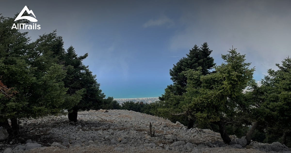 10 Best hikes and trails in Mount Ainos National Park | AllTrails