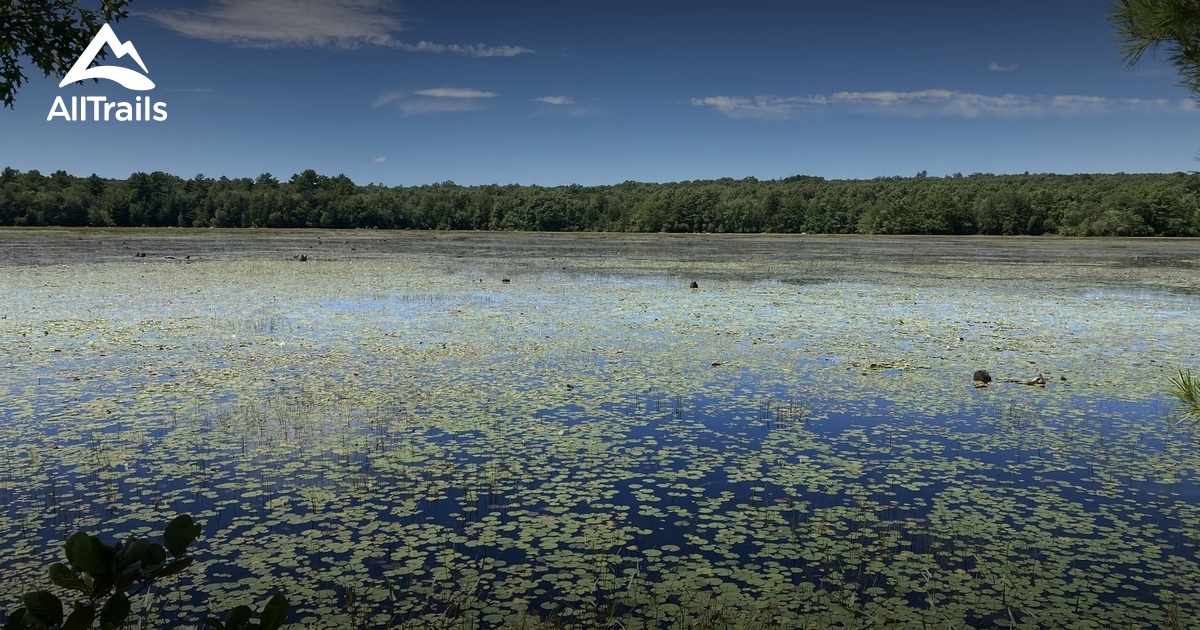 Best hikes and trails in Stella Hall Conservation Area | AllTrails