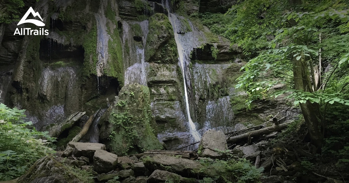 Best hikes and trails in Cleveland Barrens Natural Area Preserve ...