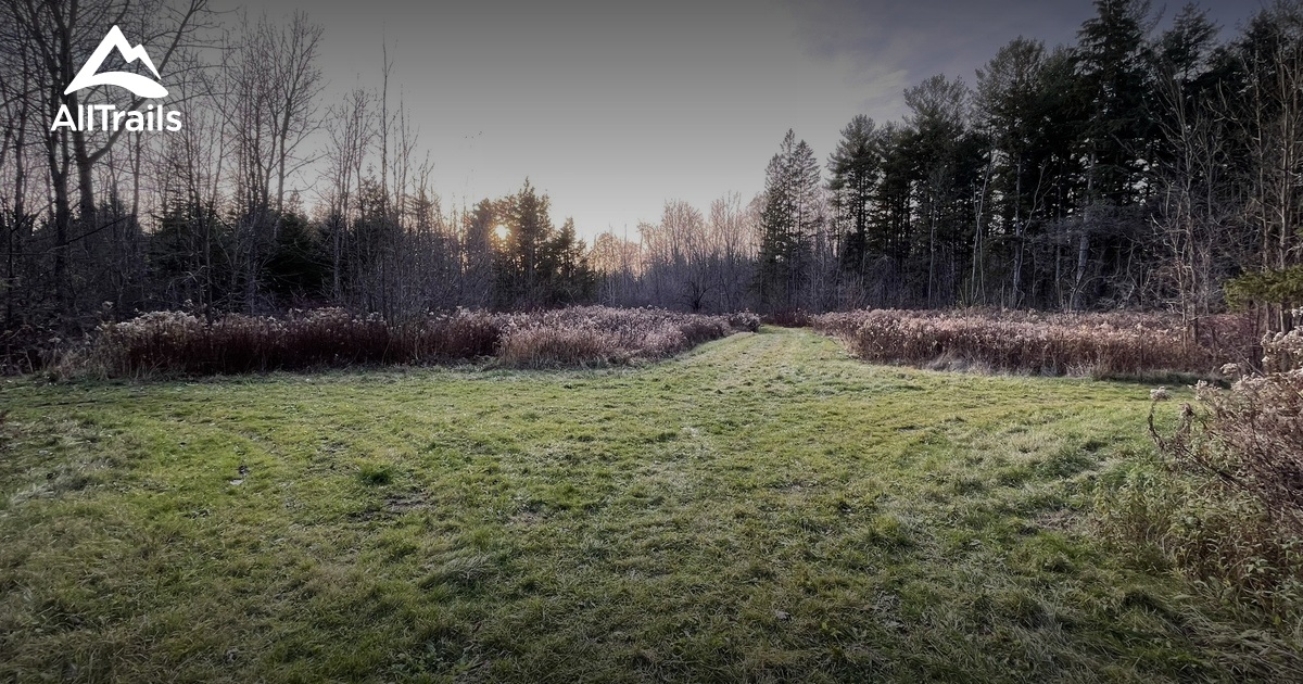 Best hikes and trails in Halton Region Forest | AllTrails
