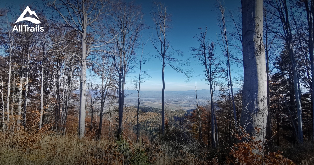 10 Best hikes and trails in Silesian Beskids Landscape Park | AllTrails
