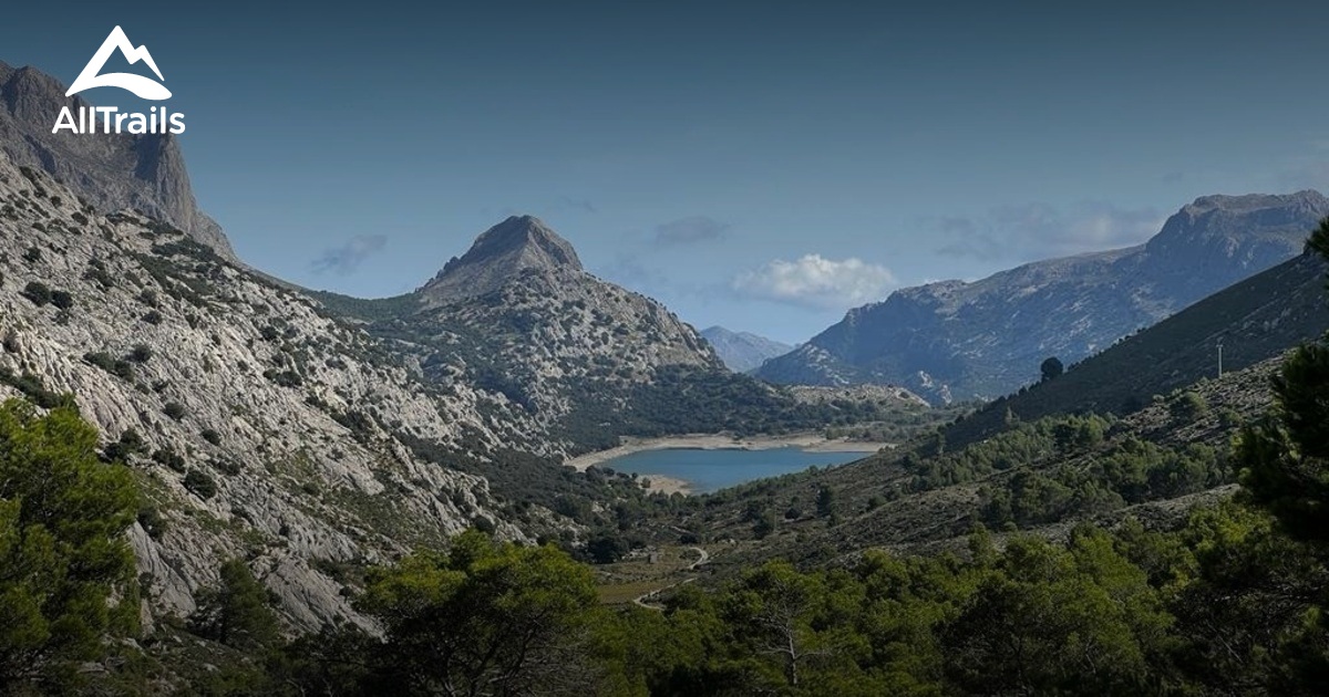 Best hikes and trails in Finca Pública de Planícia | AllTrails