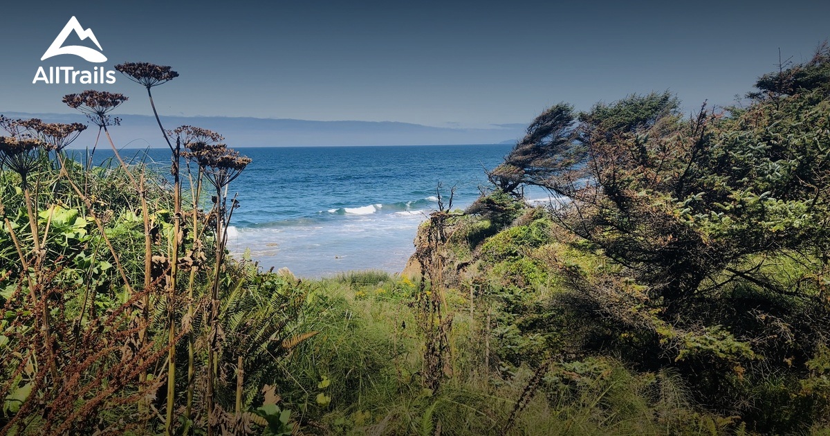 Best moderate trails in Cape Meares National Wildlife Refuge | AllTrails