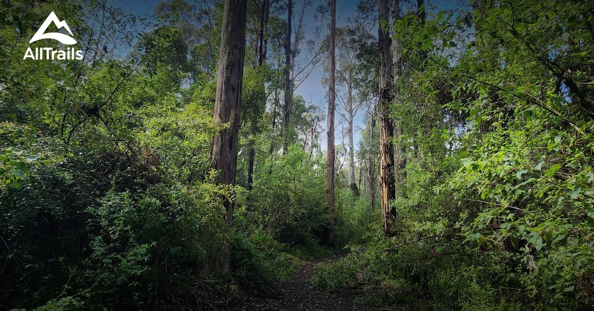 Best hikes and trails in Boorara - Gardner National Park | AllTrails