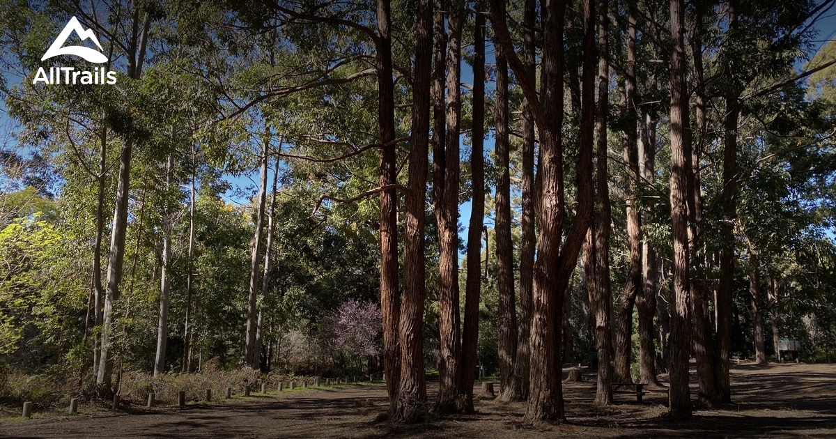 Best walking trails in Dwellingup State Forest | AllTrails