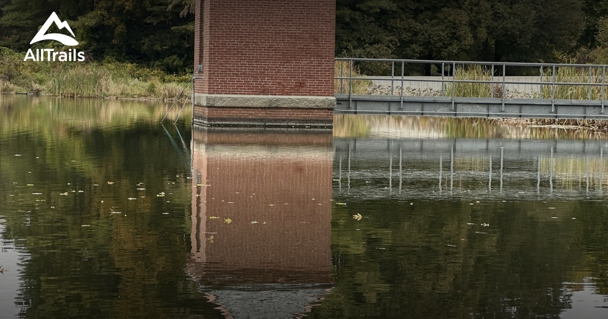 Best hikes and trails in Dow Brook Conservation Area | AllTrails