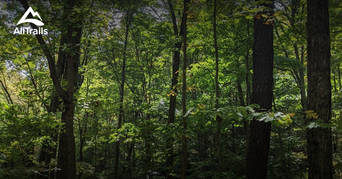 Best hikes and trails in Spruce Hill Preserve | AllTrails