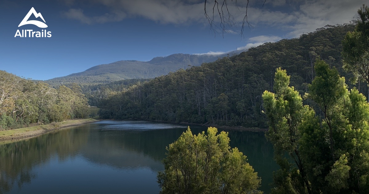 Best views trails in Waterworks Reserve | AllTrails