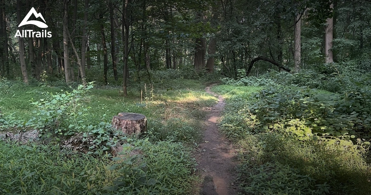 Best hikes and trails in Homewood Nature Preserve | AllTrails