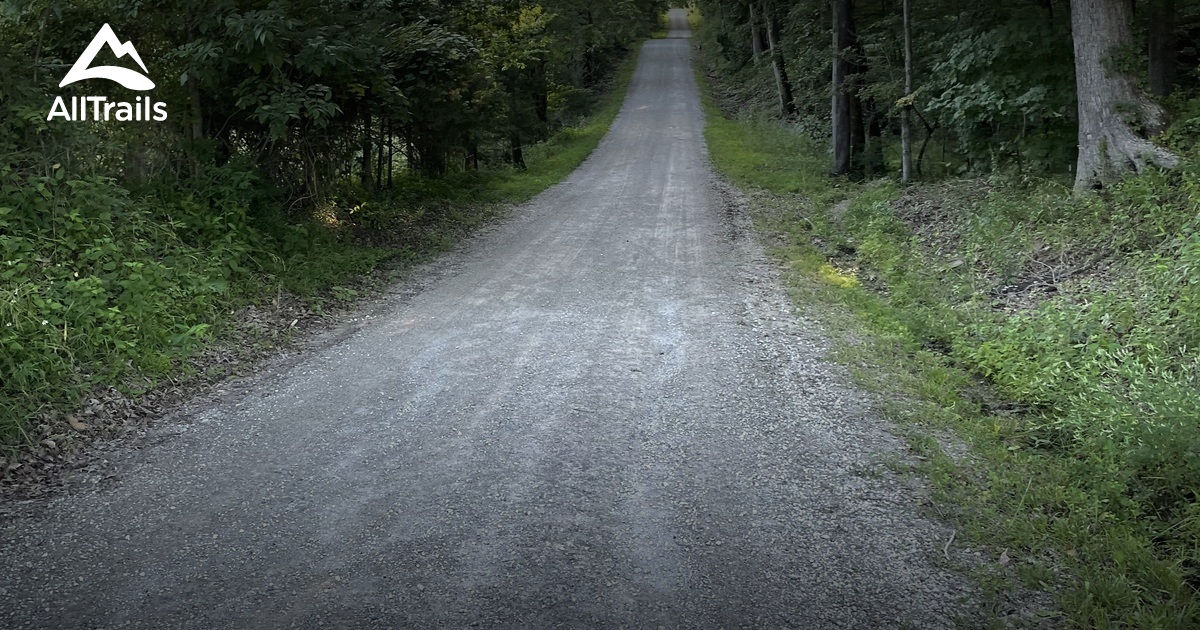 Best hikes and trails in Webster Woods Preserve | AllTrails