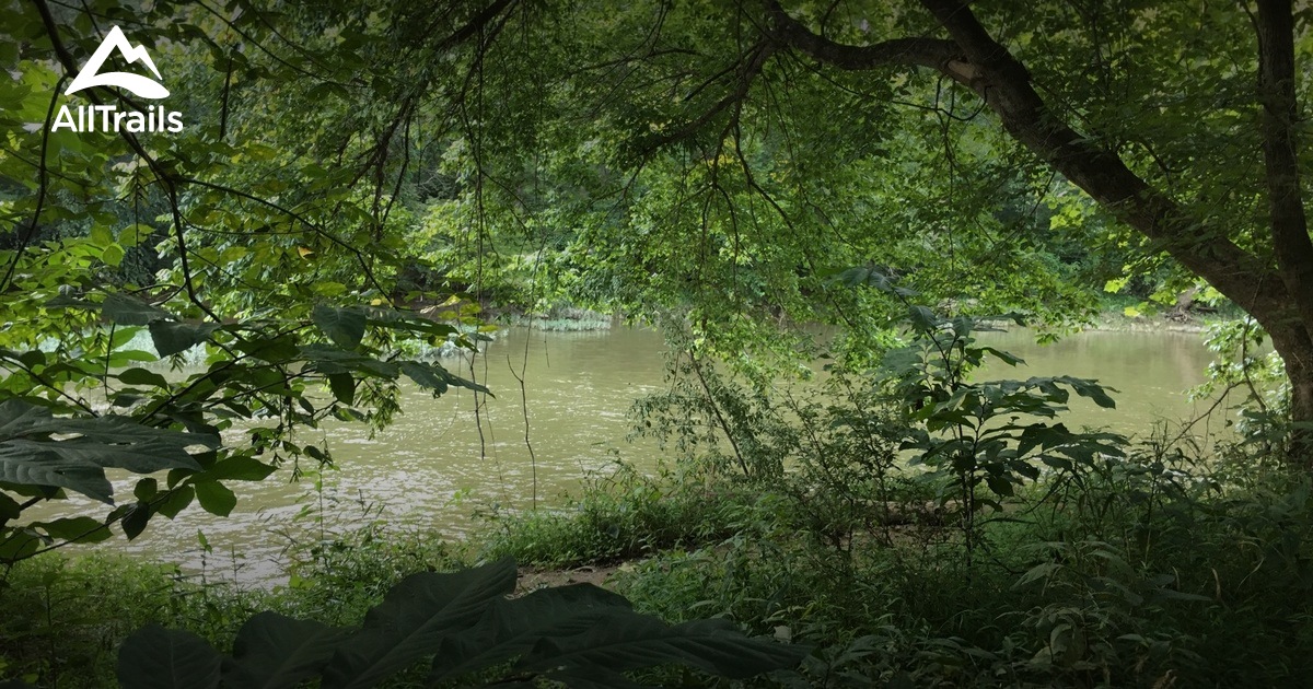 Best hikes and trails in Bles Park | AllTrails