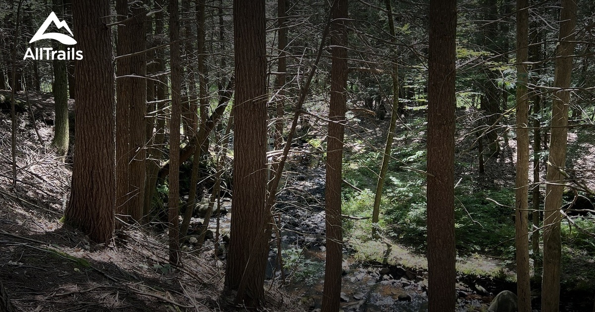 Best hikes and trails in Cook's Canyon Wildlife Sanctuary | AllTrails