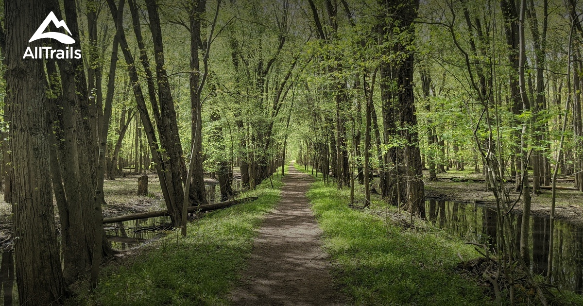 Best hikes and trails in Ringwood Forest | AllTrails