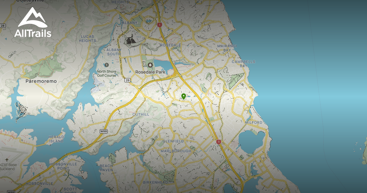 Best hikes and trails in Rewi Alley Reserve | AllTrails