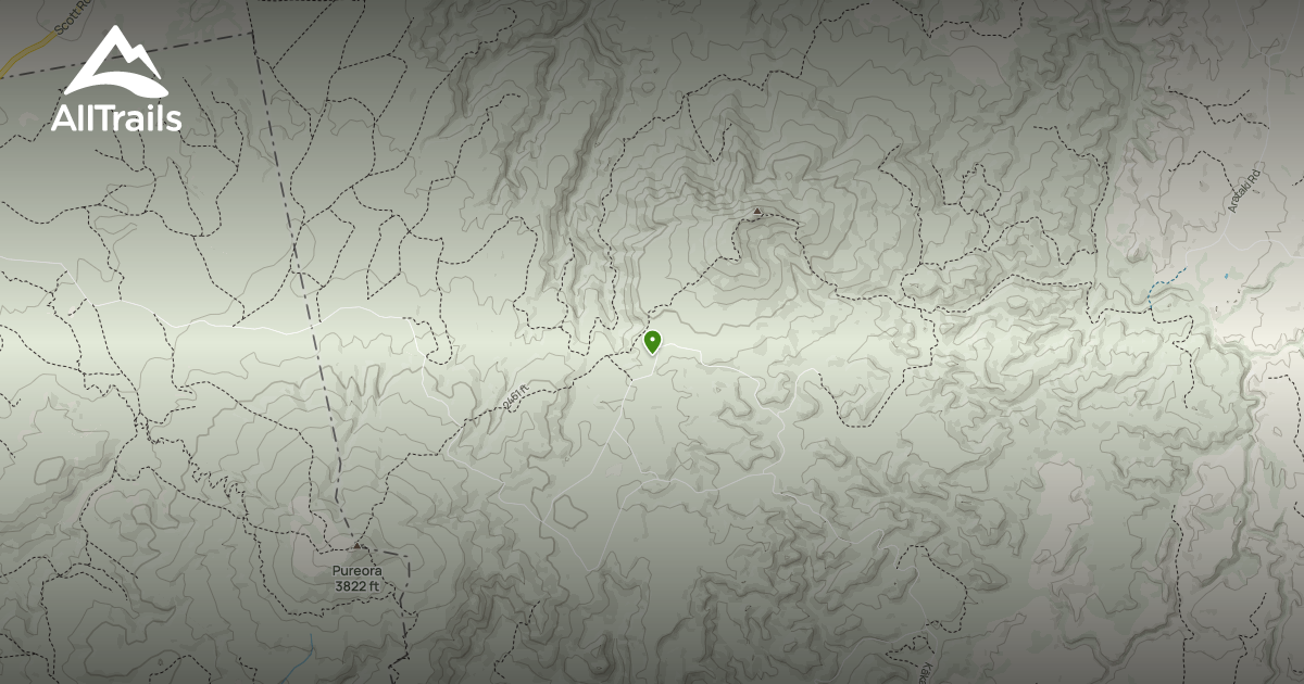 10 Best hikes and trails in Pureora Forest Park | AllTrails