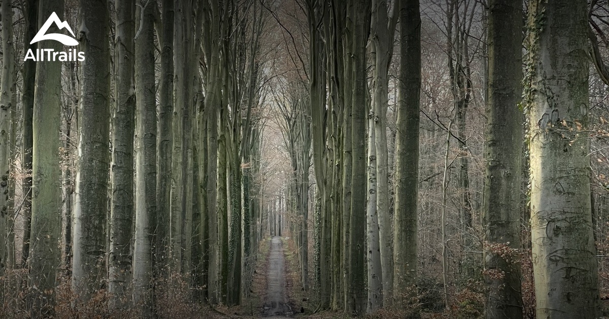 10 Best hikes and trails in Brabantse Wouden National Park | AllTrails