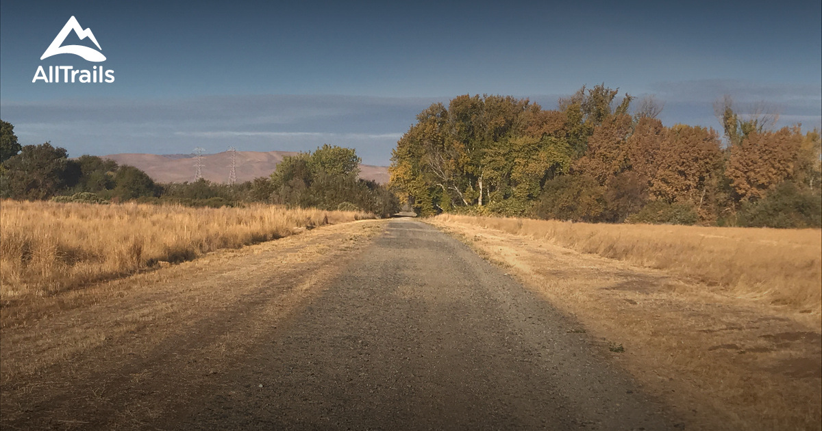 Best hikes and trails in O'Neill Forebay Wildlife Area | AllTrails