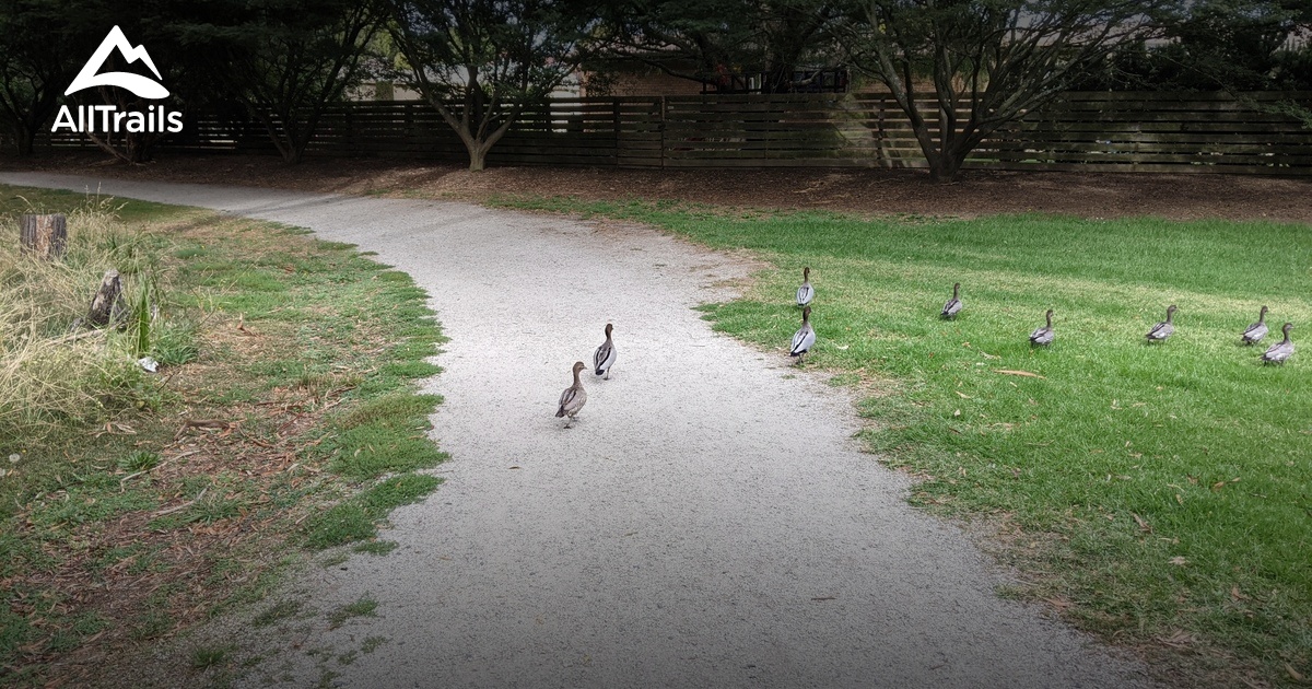 Best hikes and trails in Brooker Park | AllTrails