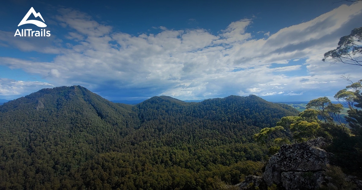 Best hikes and trails in Mount Dial Nature Recreation Area | AllTrails