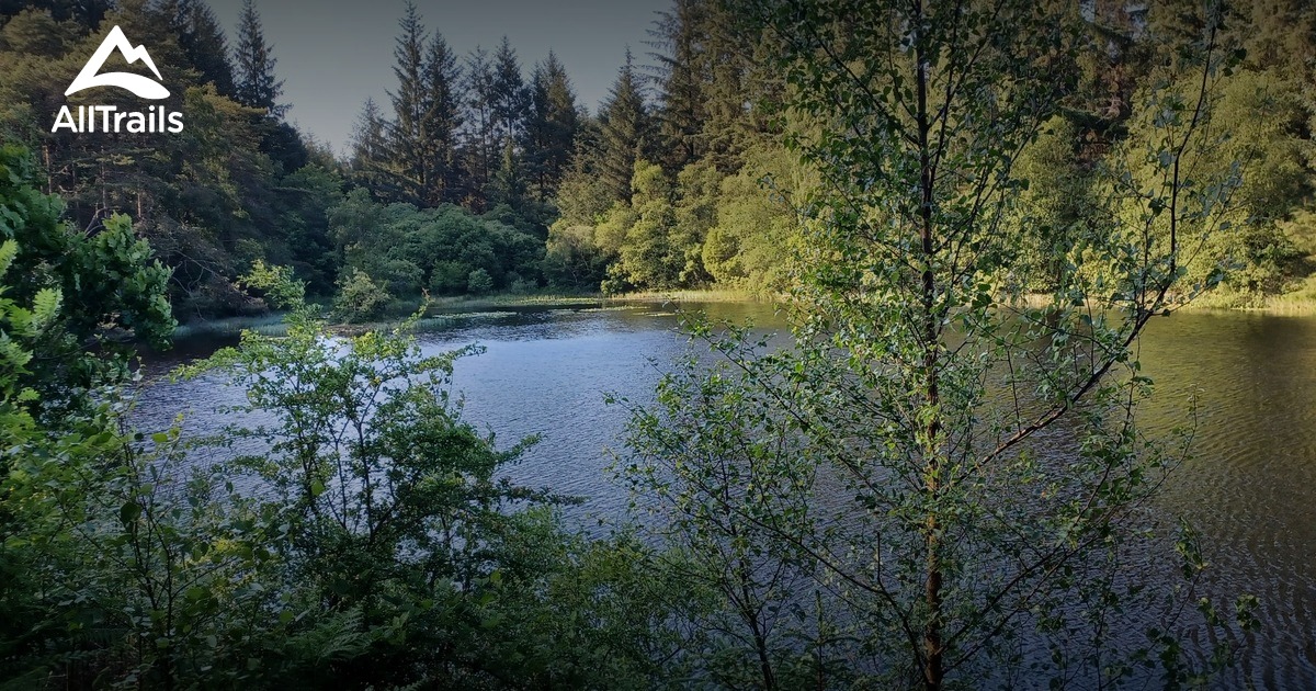 Best hikes and trails in Kirroughtree Forest | AllTrails
