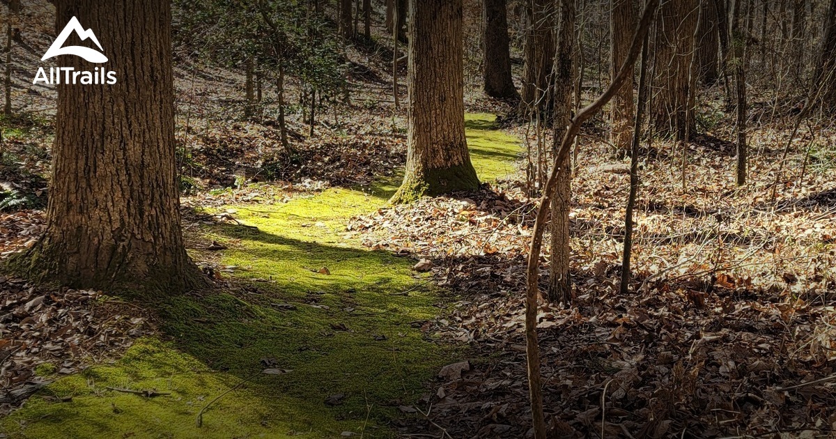 Best hikes and trails in Mayo Park | AllTrails