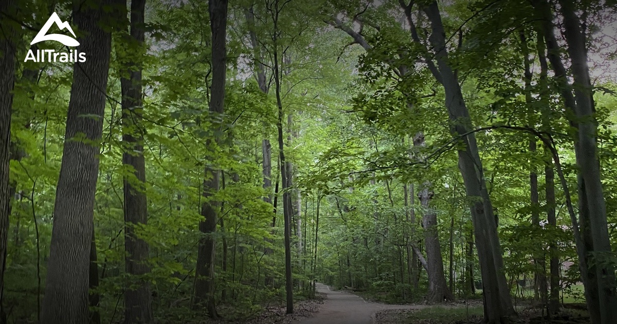 Best hikes and trails in Tatigian Park | AllTrails