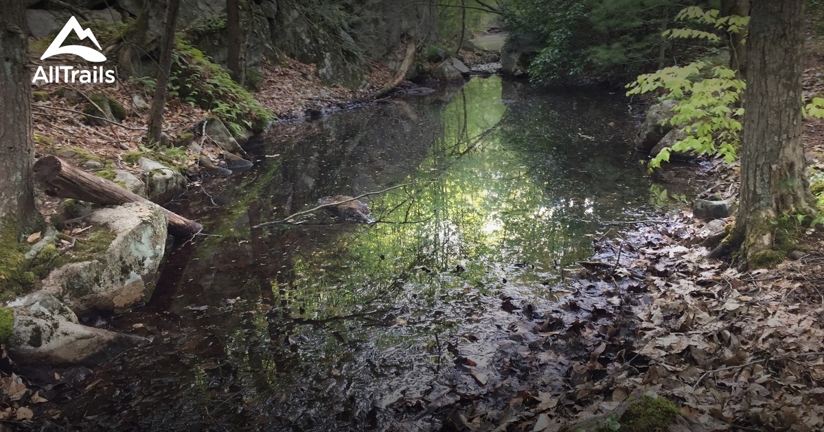 Best hikes and trails in Western Woods Preservation | AllTrails