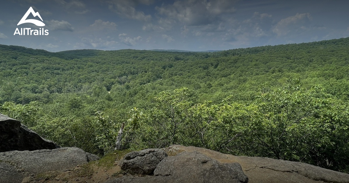 Elizabeth Burns McIntire Forest: as melhores caminhadas e trilhas ...