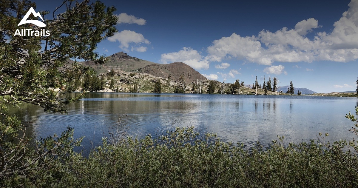 Best hikes and trails in Red Lake Wildlife Area | AllTrails