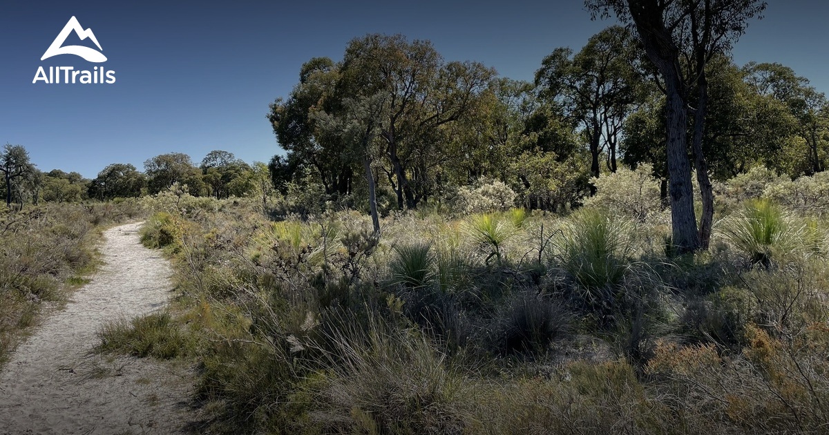 Best hikes and trails in Talbot Road Nature Reserve | AllTrails