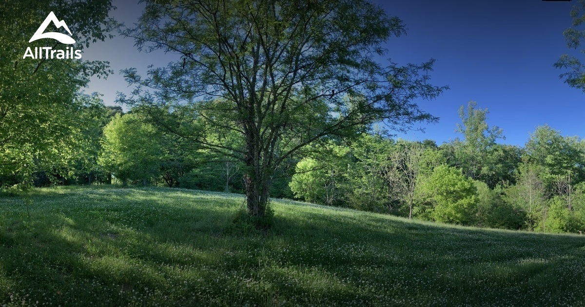 Best hikes and trails in Matt Community Park | AllTrails