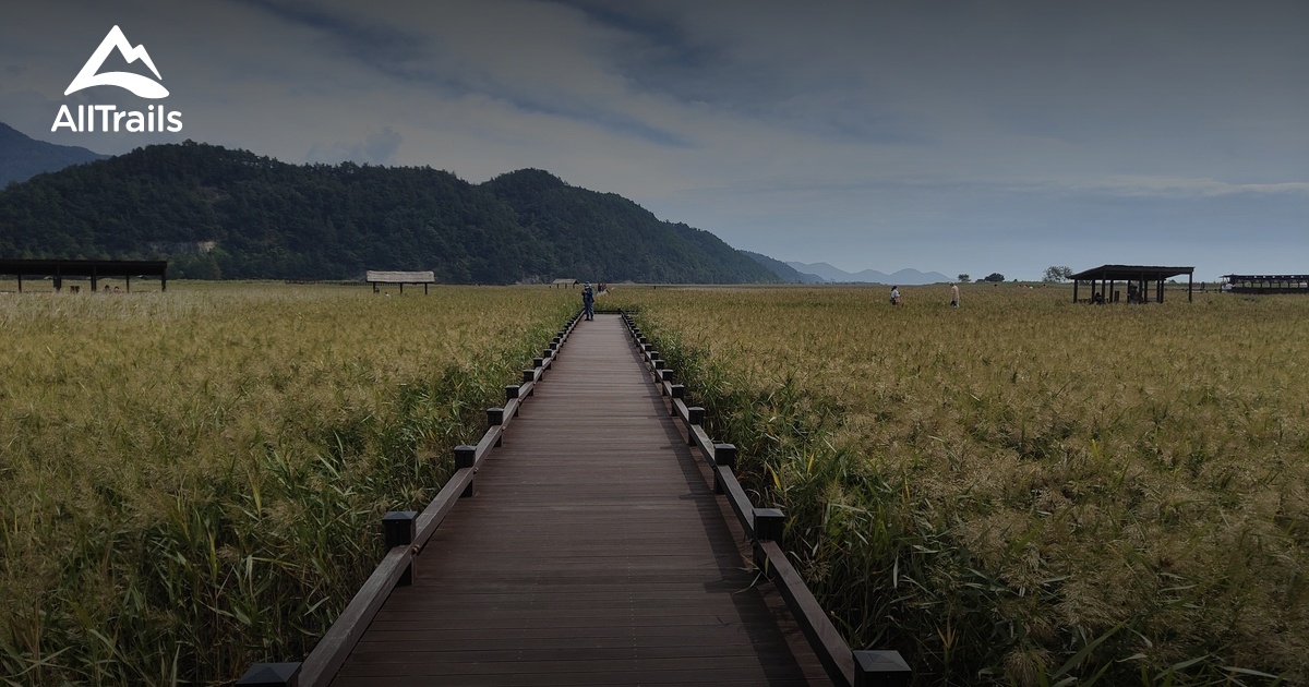 Best hikes and trails in Suncheon Bay Nature Reserve | AllTrails