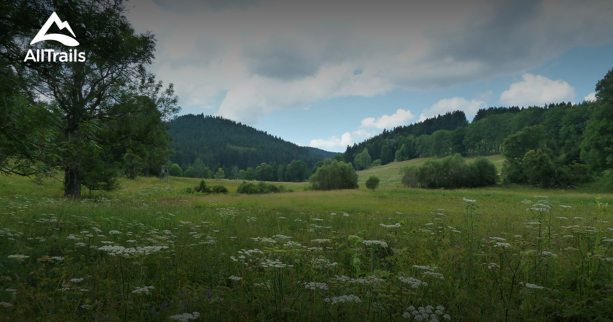 Přírodní park Novohradské hory : les meilleures balades | AllTrails