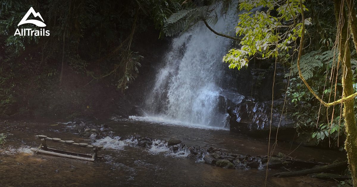 Best long trails in Parque Estadual do Jurupará | AllTrails