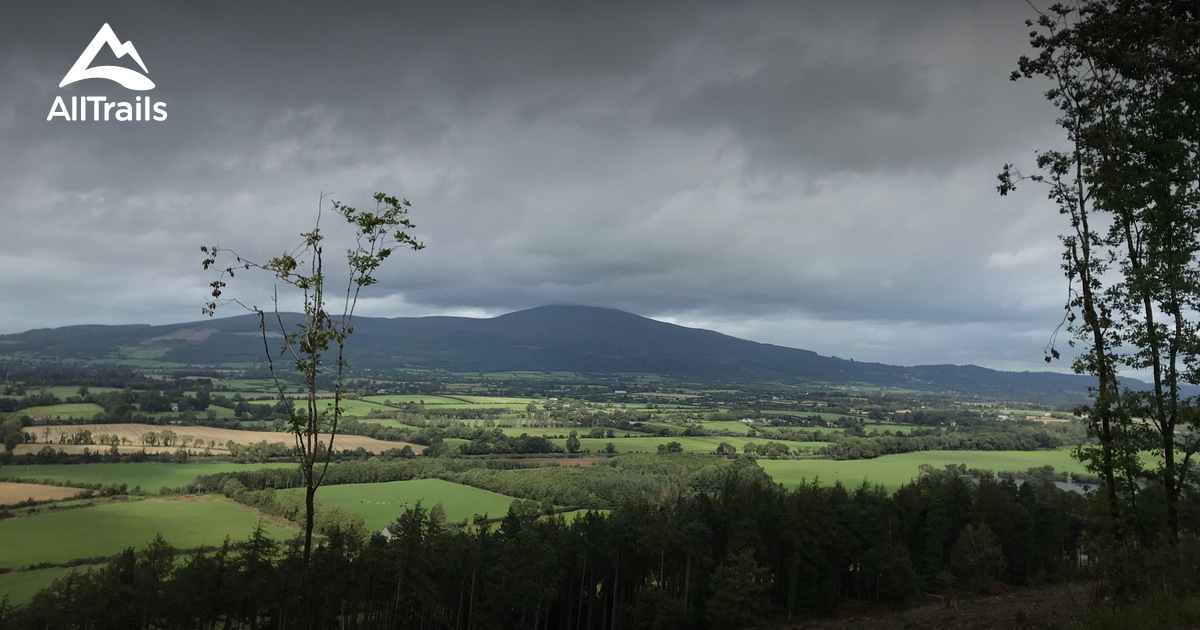 Best hikes and trails in Carricknabrone Wood | AllTrails