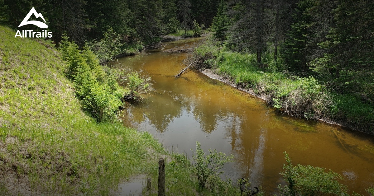 Best short trails in Mackinaw State Forest - Atlanta Unit | AllTrails