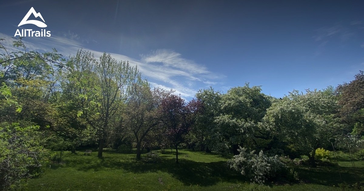 Morgan Arboretum : les meilleures randonnées en forêt | AllTrails