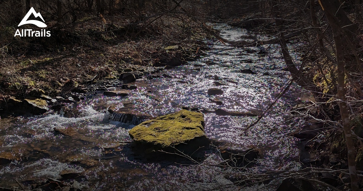 Die Besten Langen Routen in Tioga-Hammond Lakes | AllTrails