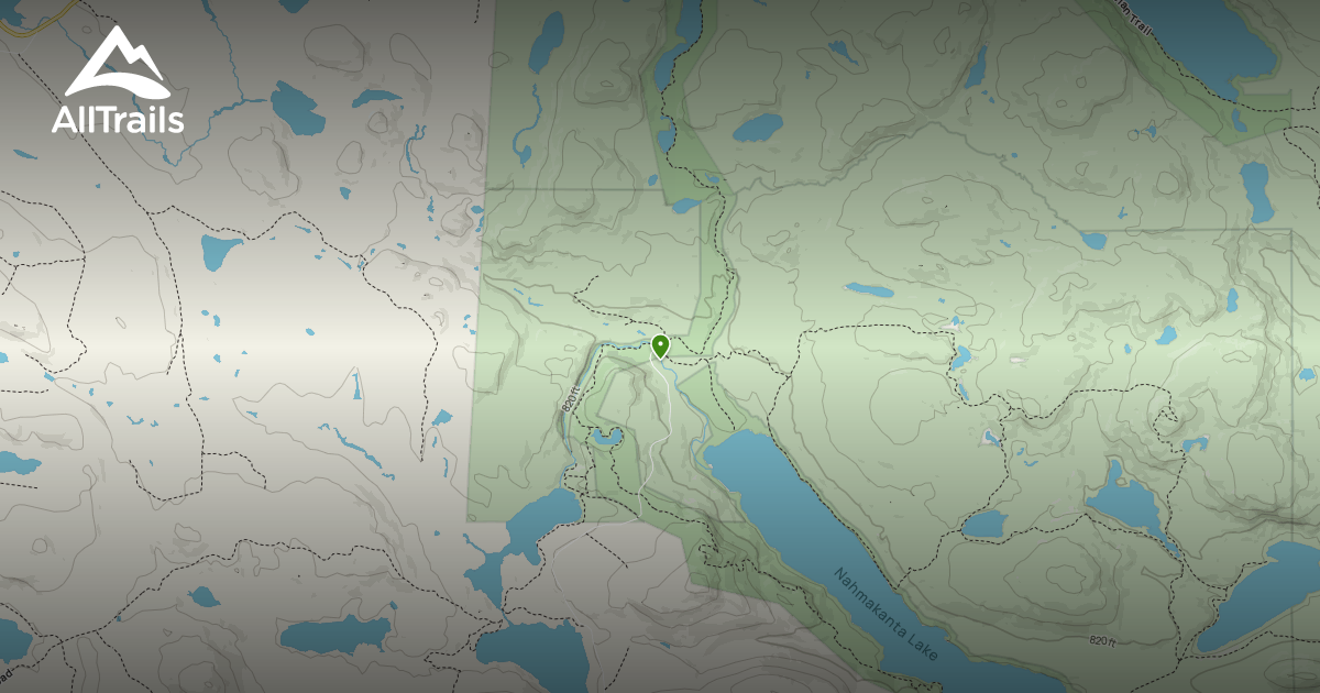 10 Best wildflower trails in Appalachian National Scenic Trail | AllTrails