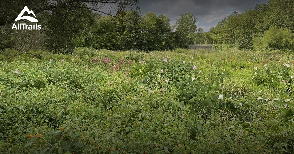 Best hikes and trails in Shaker Lakes Park | AllTrails