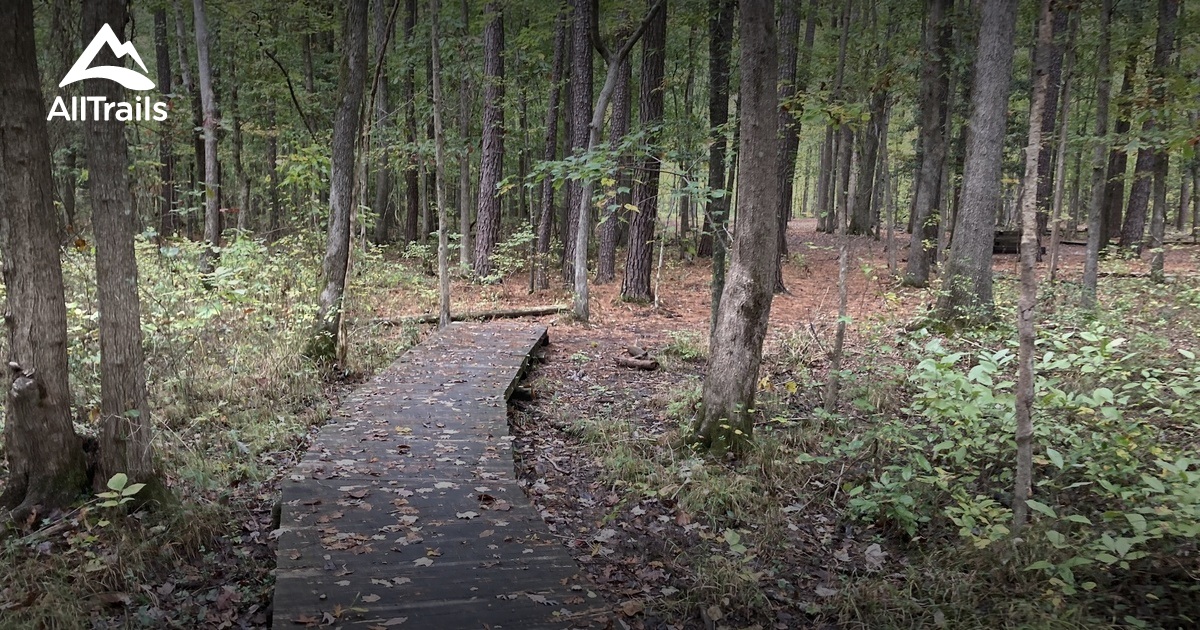 I migliori sentieri facili in Apex Nature Park | AllTrails